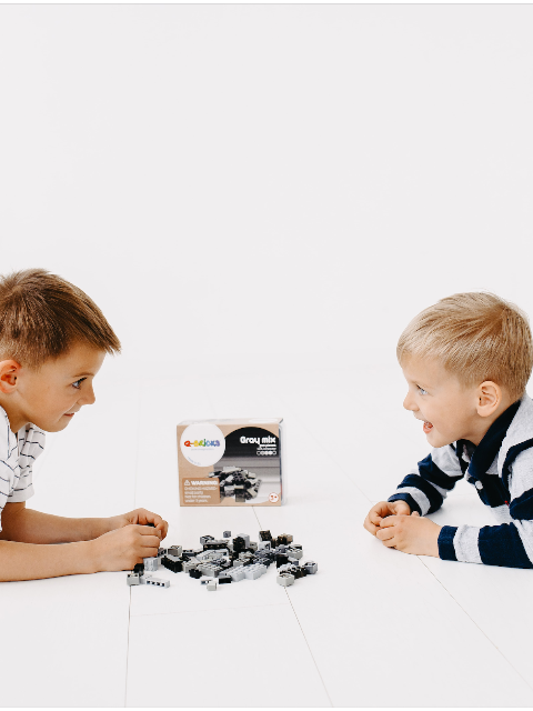 Q-BRICKS® | pure imagination